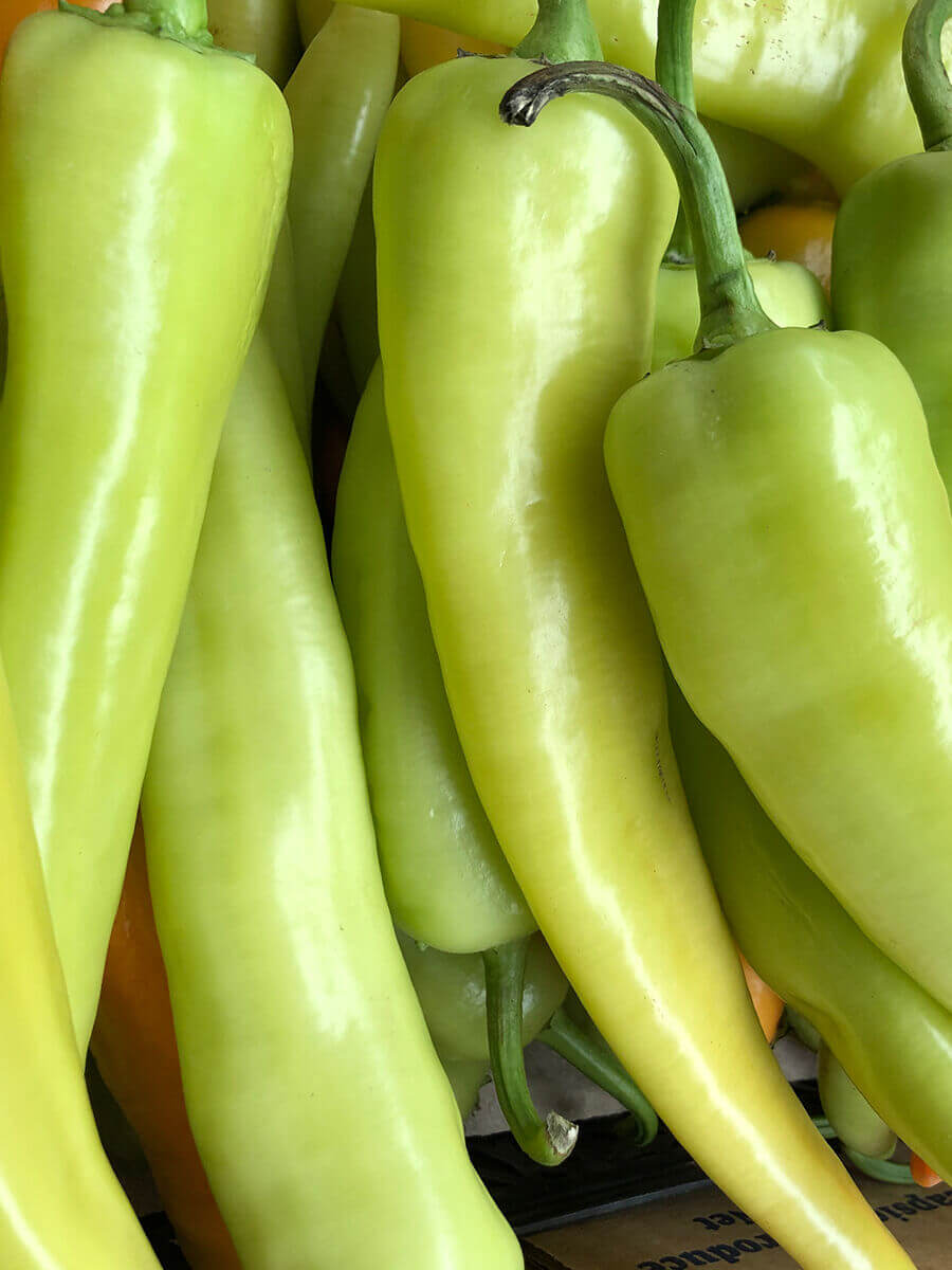 Sweet Yellow Chillies – Field2Fork